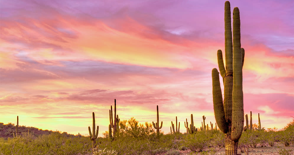 The Best Places to View the Sunset in Scottsdale | Official Travel Site ...