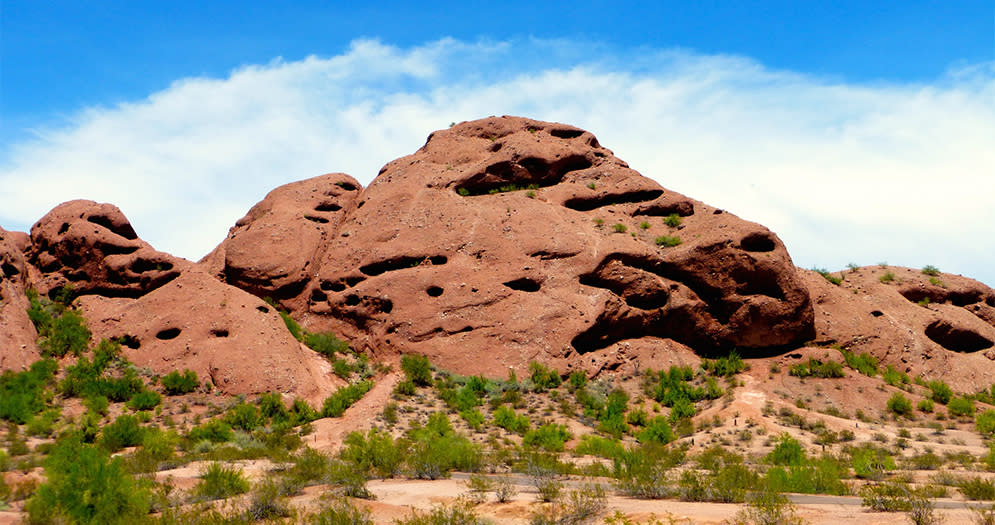 The Three Best Easy Hikes in Scottsdale | Official Travel Site for ...
