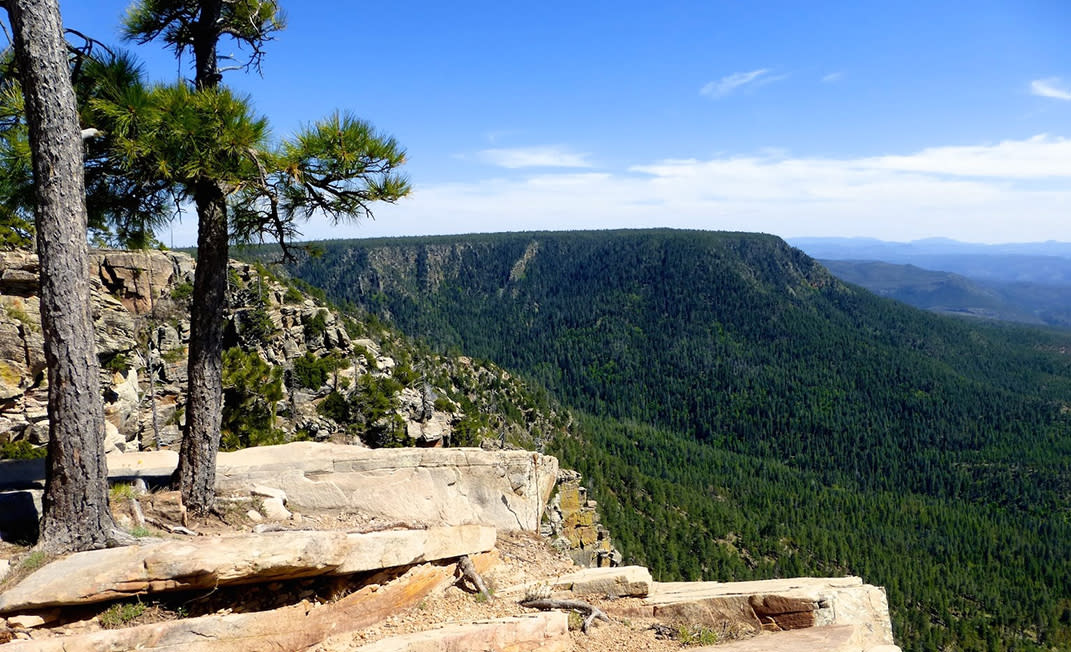 Mogollon Rim Drive from Scottsdale | Experience Scottsdale