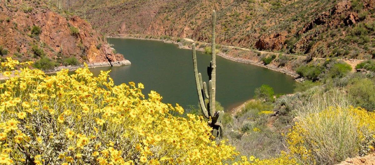 Apache Trail: The Very Best of Central Arizona