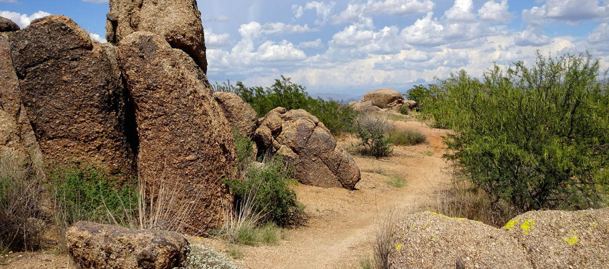 Hike the Gooseneck Trail in Scottsdale | Official Travel Site for ...