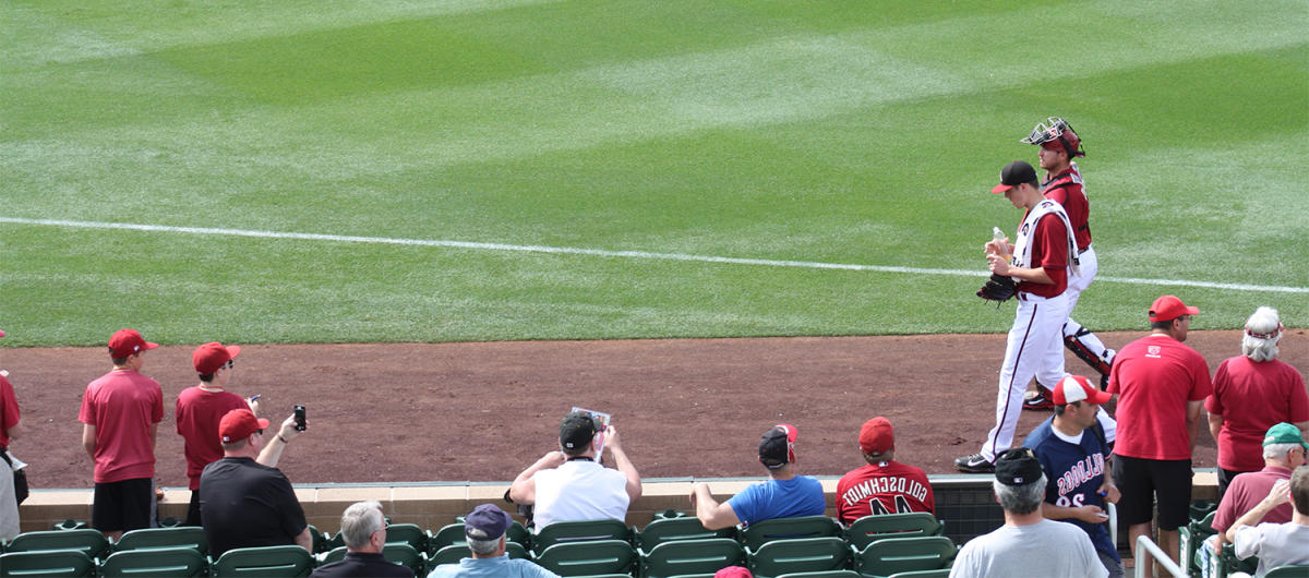 Finding The Best Spring Training Seats | Lawn Seats & More