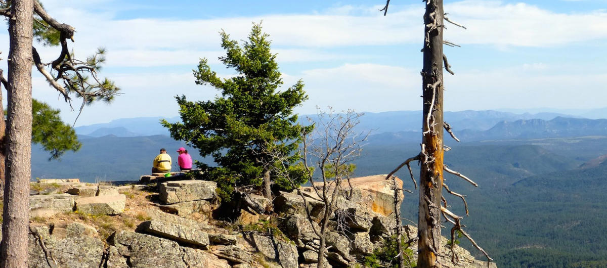 Mogollon Rim Drive from Scottsdale | Experience Scottsdale